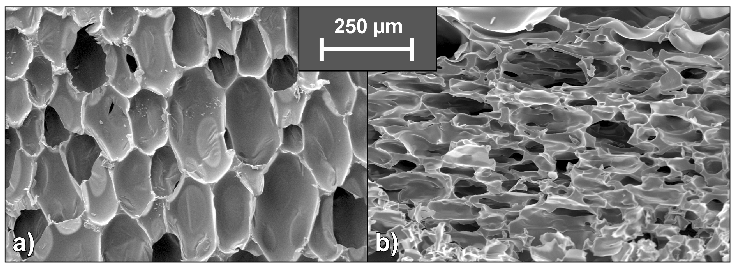 Fire Phenomena of Rigid Polyurethane Foams