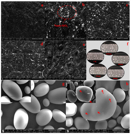 Preparation and Characterization of Potato Starch Film with Various ...