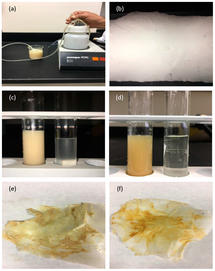 The New Generation from Biomembrane with Green Technologies for ...