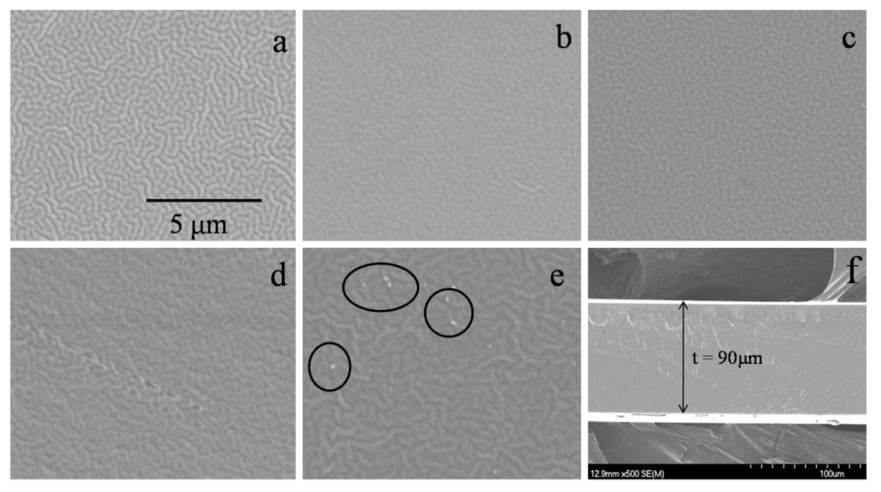High Performance Poly(vinyl alcohol)-Based Li-Ion Conducting Gel ...