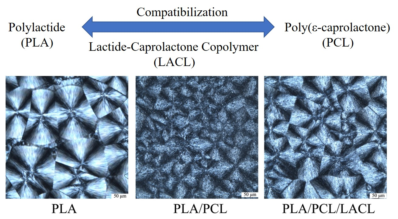 Polymers | Free Full-Text | Melt Crystallization Behavior and ...