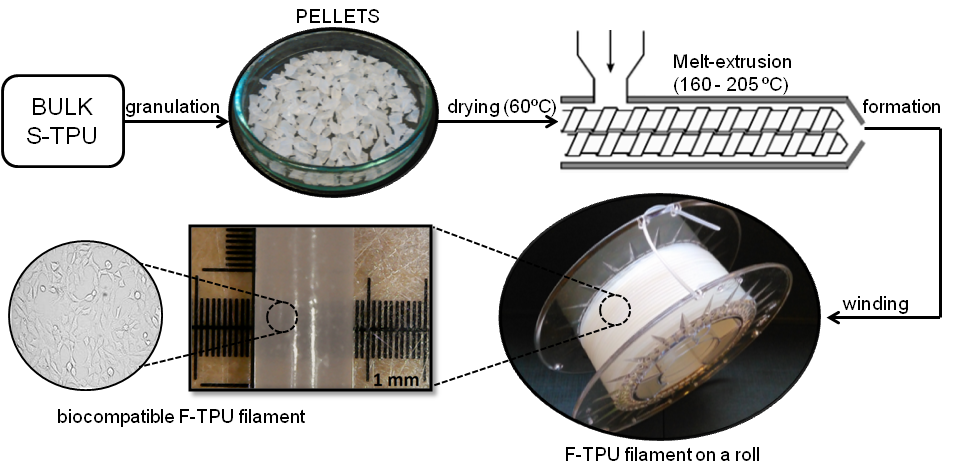 Polymers | Free Full-Text | Fabrication and Characterization of ...