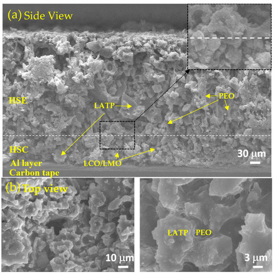 All-Solid-State Lithium Battery Working without an Additional Separator in a Polymeric Electrolyte