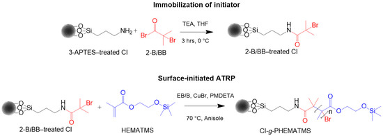 Polymers | Special Issue : Core-Shell Structured Polymers