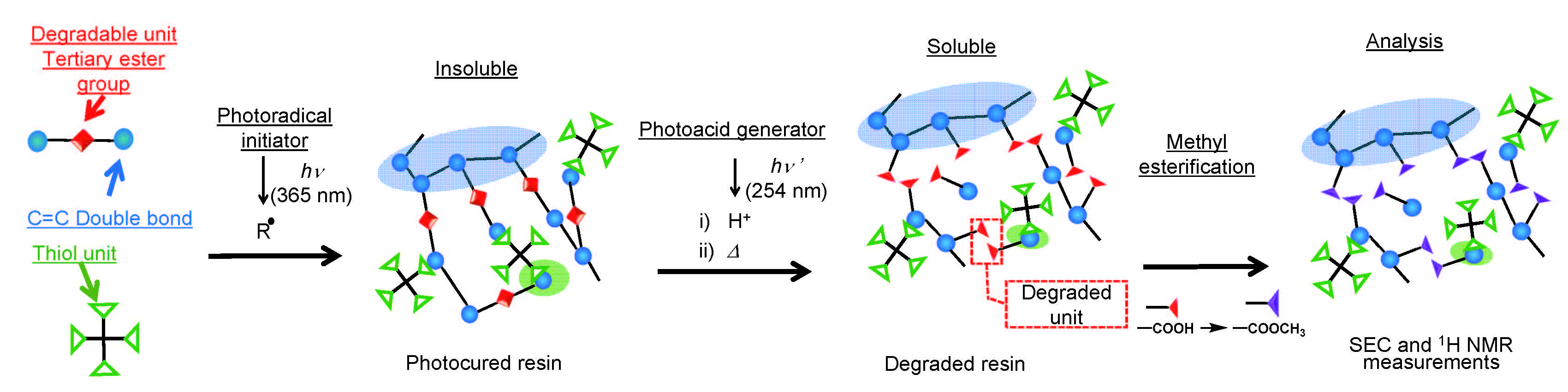 Polymers | Free Full-Text | Analysis of Network Structures in Thiol-Ene ...