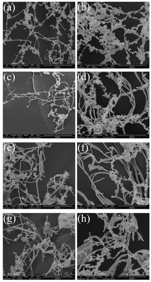 Synthesis of Diblock Polyampholyte PAMPS-b-PMAPTAC and Its Adsorption ...