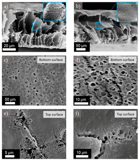Polymers | Special Issue : Microporous Organic Polymers: Synthesis ...