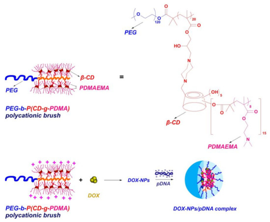 Polymers | Special Issue : Polymers in Gene Delivery