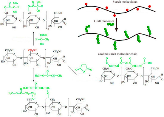 Preparation and Characterization of Hydrophobically Grafted Starches by ...