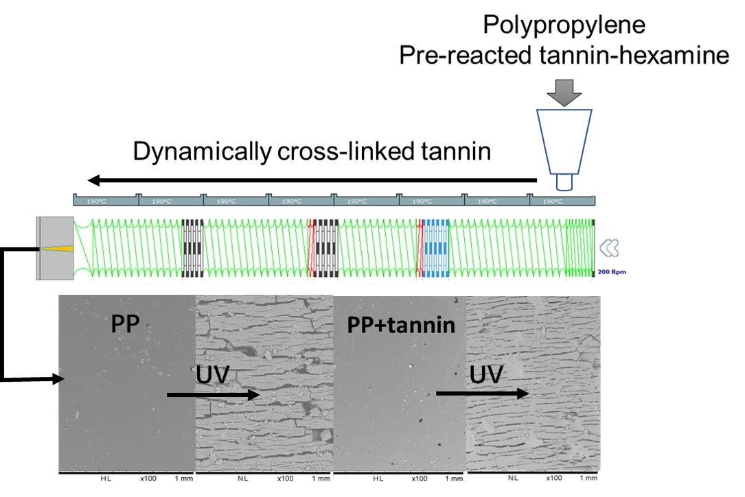 Polymers | Free Full-Text | Dynamically Cross-Linked Tannin as a ...