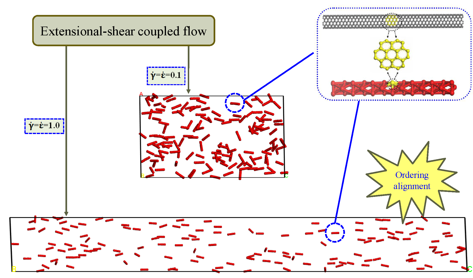 Polymers | Free Full-Text | Orientation and Dispersion Evolution of ... Polymers | Free Full-Text | Orientation and Dispersion Evolution of ...