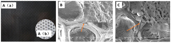 Patterned Polyvinyl Alcohol Hydrogel Dressings with Stem Cells Seeded ...