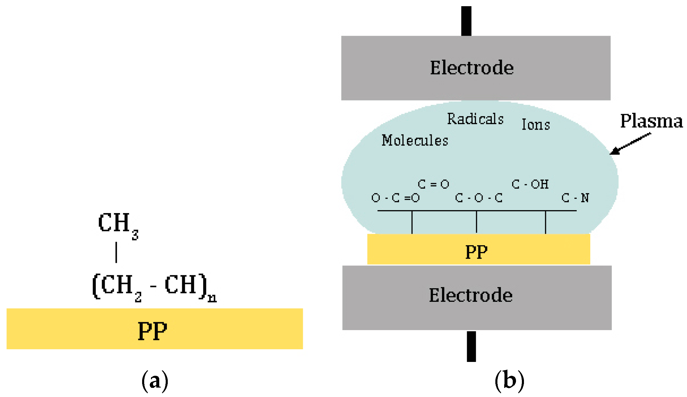 Functionalization of Neutral Polypropylene by Using Low Pressure Plasma ...
