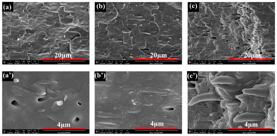 Effects of Phase Morphology on Mechanical Properties: Oriented ...
