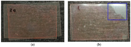 Influence of Tert-Butylthiol and Tetrahydrofuran on the Holographic ...