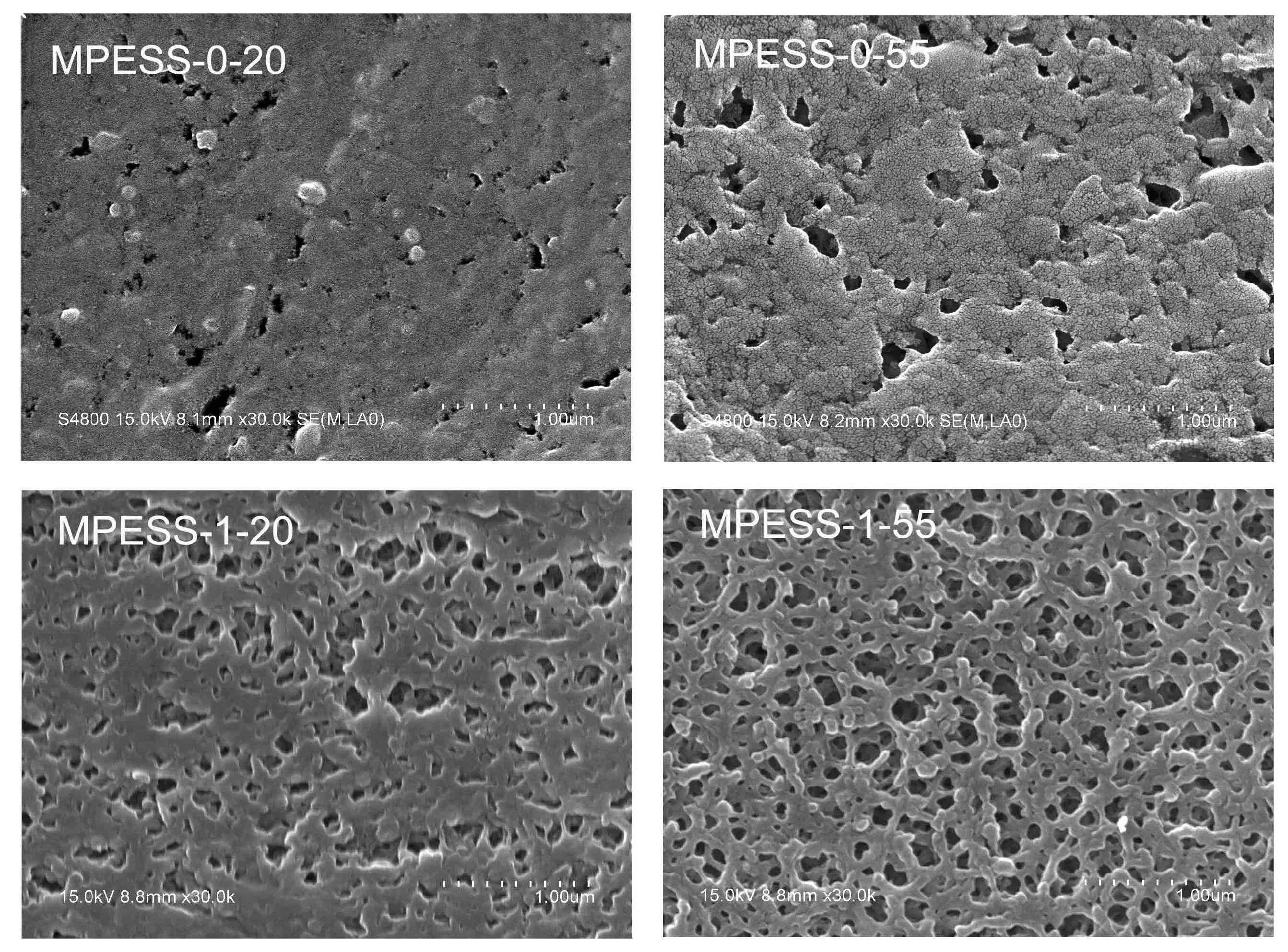 A Facile Way to Prepare Hydrophilic Homogeneous PES Hollow Fiber ...