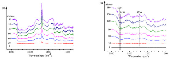Polymers | Free Full-Text | Enhanced Formaldehyde Removal from Air Using Fully Biodegradable ...