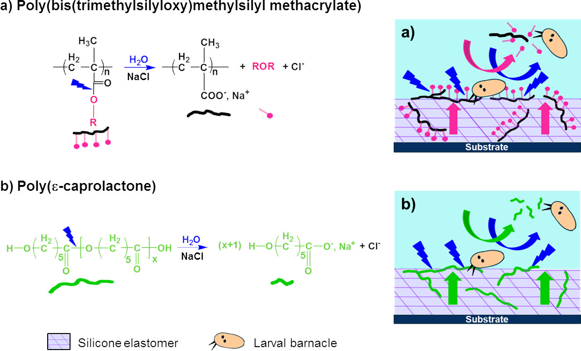 Polymers | Free Full-Text | Hydrolyzable Additive-Based Silicone ...