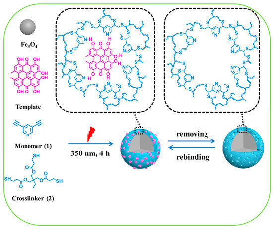 Fabrication of Core-Shell Magnetic Molecularly Imprinted Nanospheres towards Hypericin via Click ...