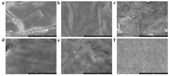 Two-Step Separation of Chitin from Shrimp Shells Using Citric Acid and ...