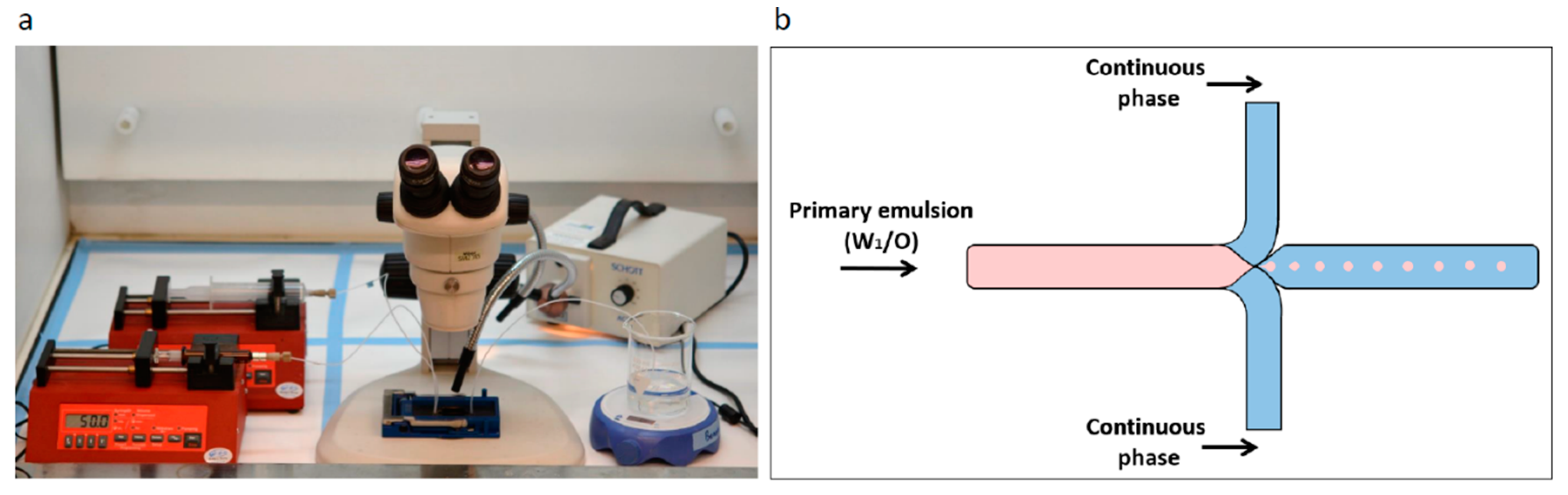 Microfluidic Based Fabrication and Characterization of Highly Porous Polymeric Microspheres