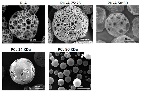 Microfluidic Based Fabrication and Characterization of Highly Porous ...