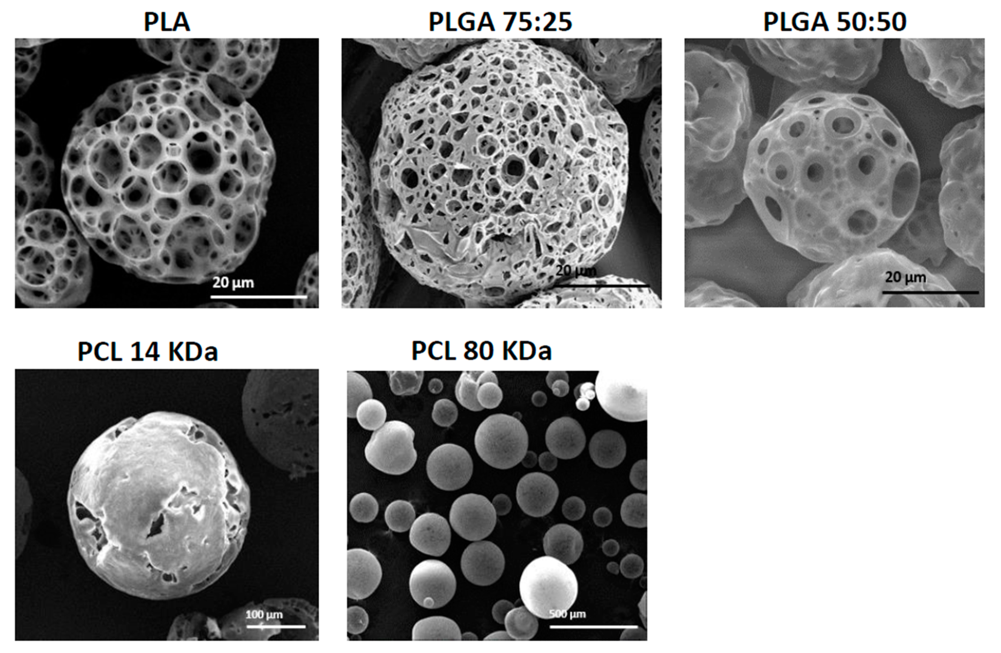 Polymers | Free Full-Text | Microfluidic Based Fabrication and Characterization of Highly Porous ...