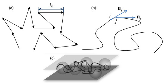 Conformation and Dynamics of Long-Chain End-Tethered Polymers in ...