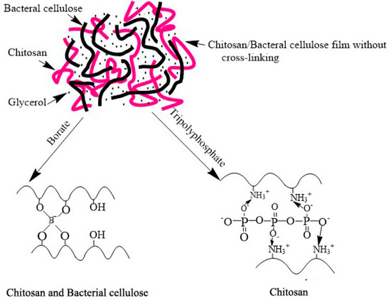 The Impact of Cross-linking Mode on the Physical and Antimicrobial ...