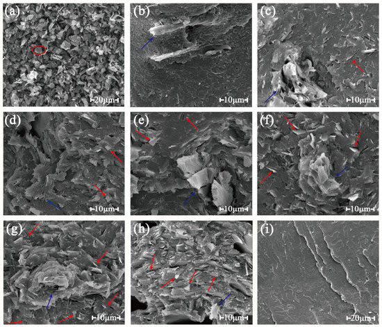 Polymers | Free Full-Text | Electrical and Thermal Conductivity of ...