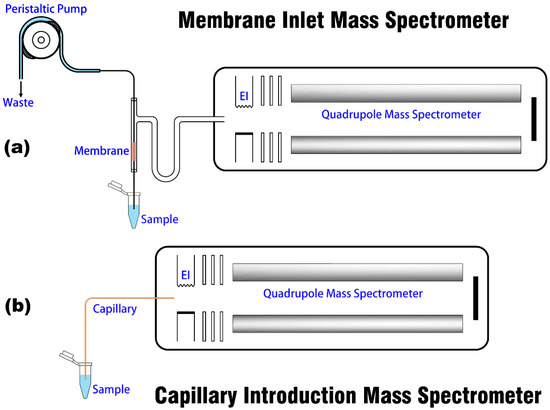 Comparison of Membrane Inlet and Capillary Introduction Miniature Mass ...