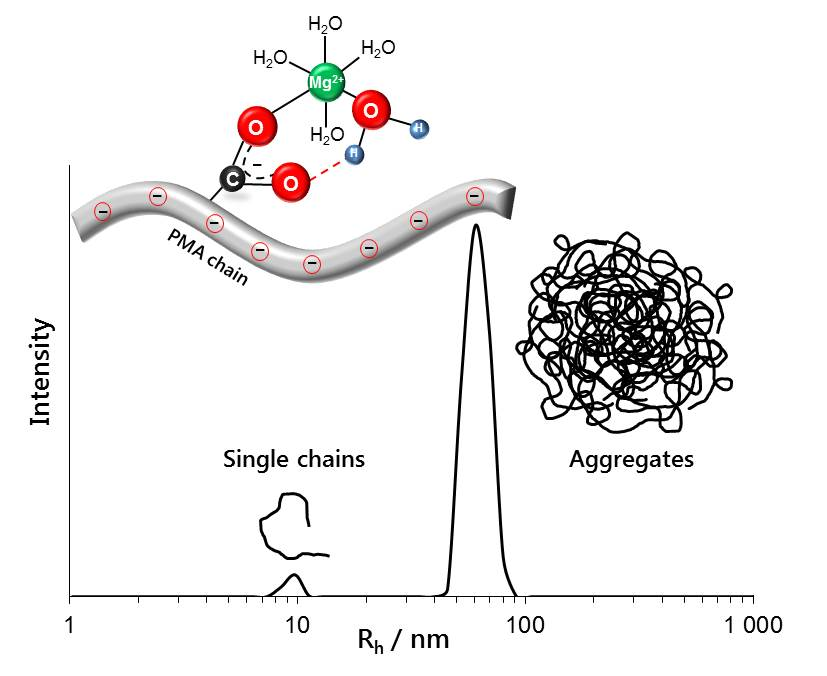 Polymers | Free Full-Text | Effect of Multivalent Cations on ...