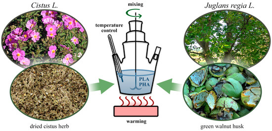 Polymers | Free Full-Text | Effect of Impregnation of Biodegradable ...