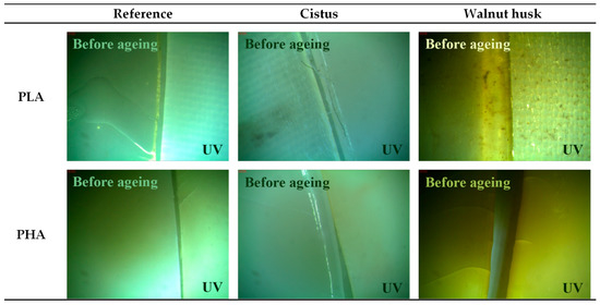 Polymers | Free Full-Text | Effect of Impregnation of Biodegradable ...
