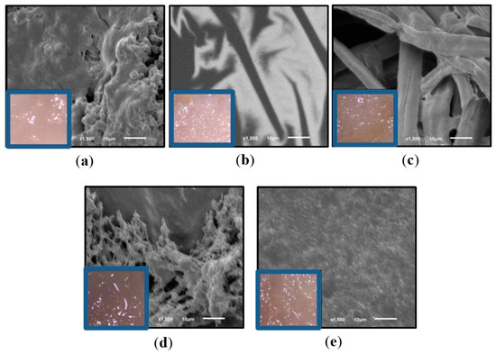 Dissolution and Hydrolysis of Bleached Kraft Pulp Using Ionic Liquids