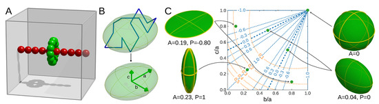 Polymers | Free Full-Text | Statistical Properties of Lasso-Shape ...