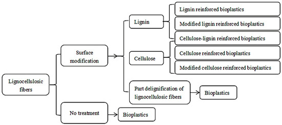 Applications of Lignocellulosic Fibers and Lignin in Bioplastics: A Review