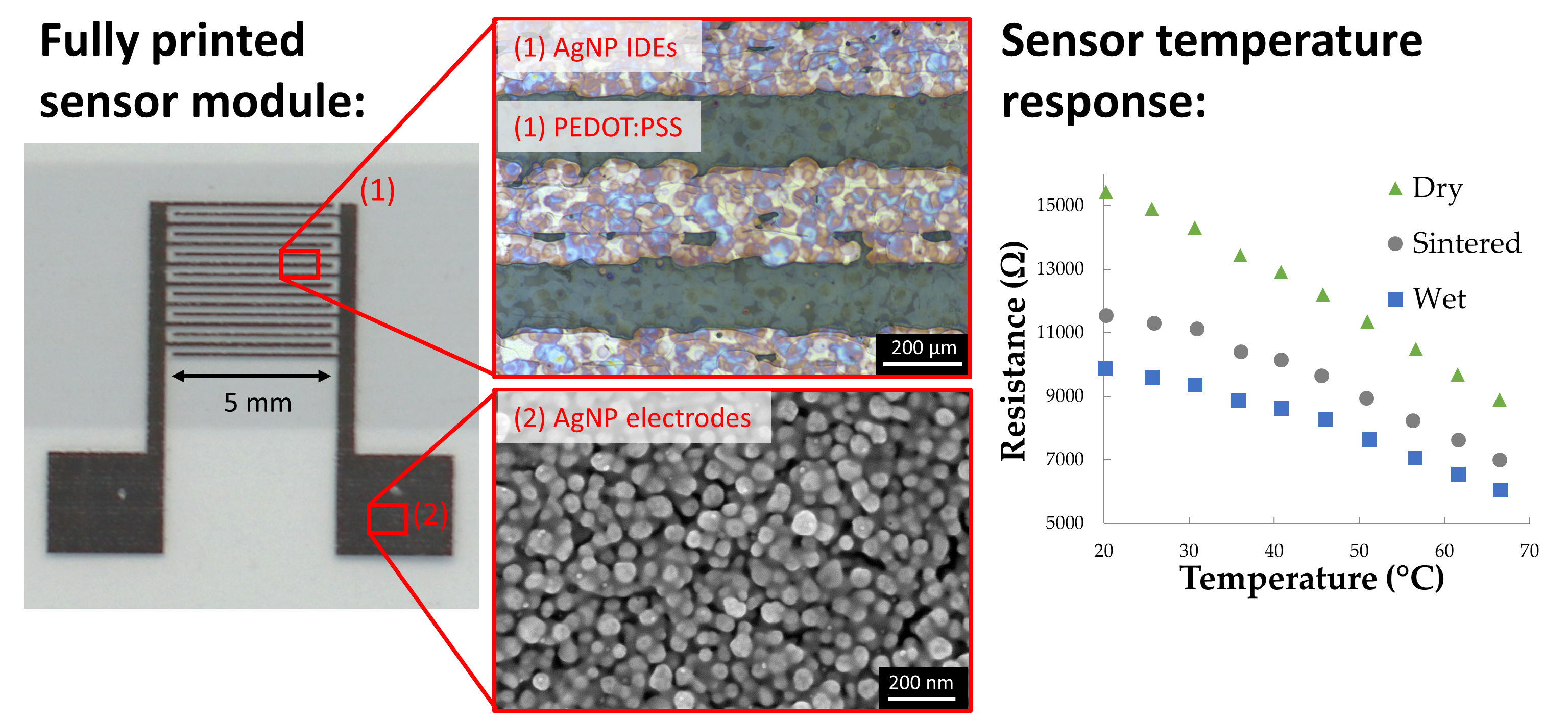 Polymers | Free Full-Text | Cost-Effective PEDOT:PSS Temperature ...