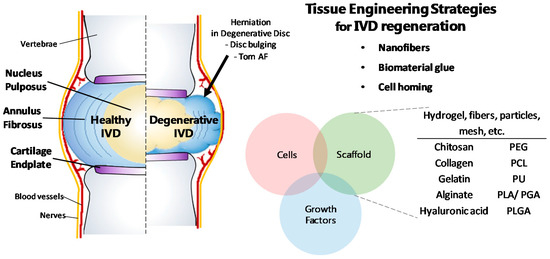 Polymers | Free Full-Text | Tissue Engineering Strategies for ...