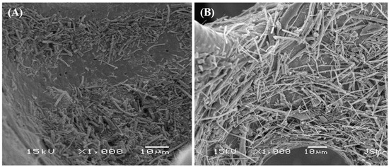 TiO2 NPs Assembled into a Carbon Nanofiber Composite Electrode by a One ...