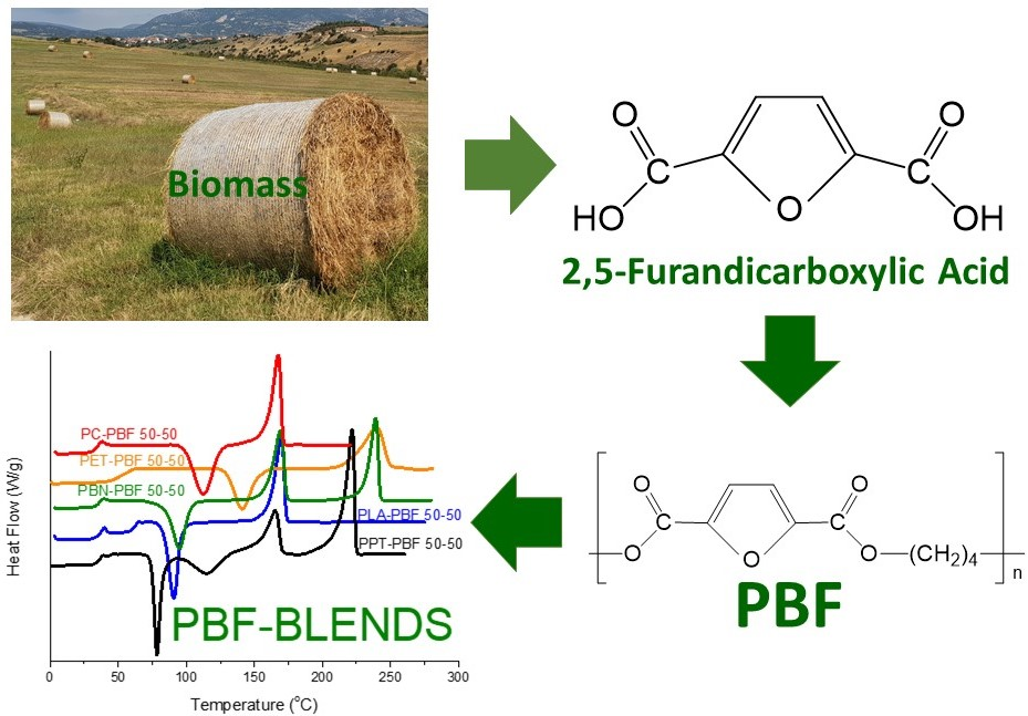 Polymers | Free Full-Text | Biobased Engineering Thermoplastics: Poly ...