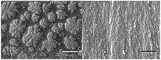Study on the Relationships between Microscopic Cross-Linked Network ...