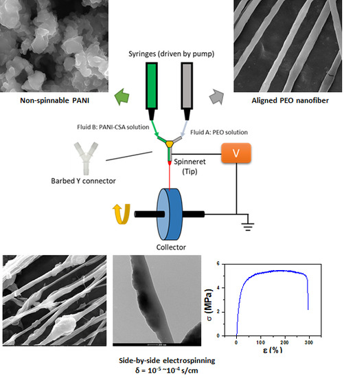 Polymers | Free Full-Text | Conductive Bicomponent Fibers Containing Polyaniline Produced via ...