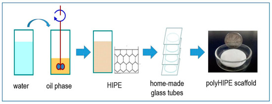 Preparation of PolyHIPE Scaffolds for 3D Cell Culture and the ...