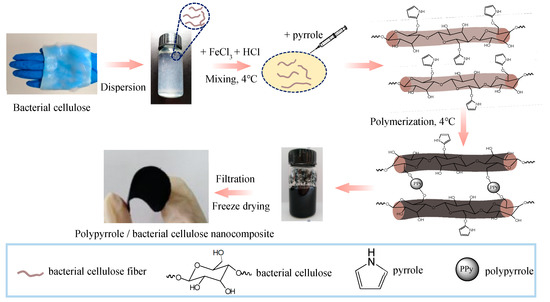 Design and Optimization of Flexible Polypyrrole/Bacterial Cellulose ...