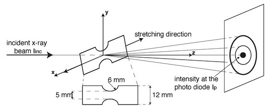 In Situ WAXD and SAXS during Tensile Deformation Of Moulded and Sintered Polyamide 12