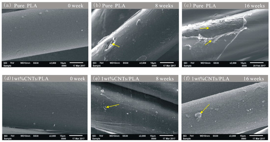Degradation Behavior In Vitro of Carbon Nanotubes (CNTs)/Poly(lactic ...