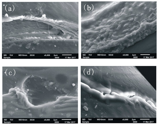 Degradation Behavior In Vitro of Carbon Nanotubes (CNTs)/Poly(lactic ...