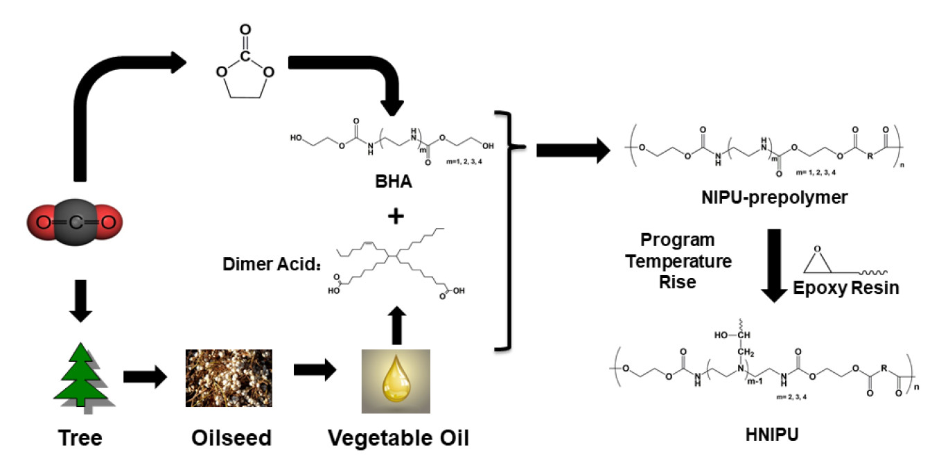Polymers | Free Full-Text | Solvent- and Catalyst-free Synthesis ...