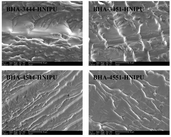 Solvent- and Catalyst-free Synthesis, Hybridization and ...